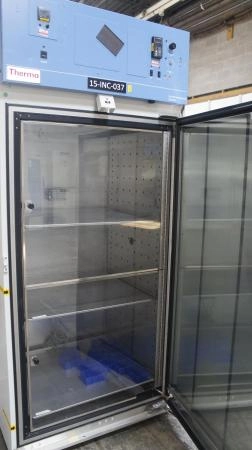 Thermo Scientific Forma Environmental Chamber 3920 | LabX.com