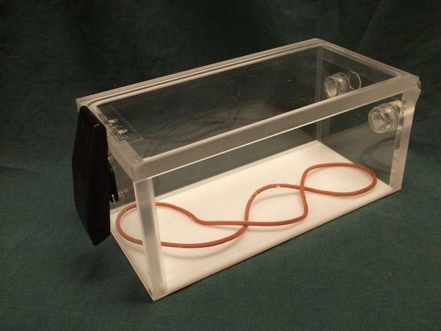 Rodent Anesthetizing Chamber | LabX.com