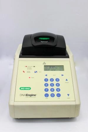 Bio-Rad Gradient 96 Well DNA Engine Thermal Cycler Model: ALS1296G ...