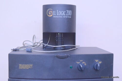 KODAK GEL LOGIC 200 IMAGING SYSTEM FOR MOLECULAR I | LabX.com