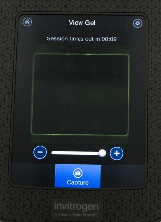 Thermo Fisher - Invitrogen E-Gel Power Snap Electrophoresis system ...