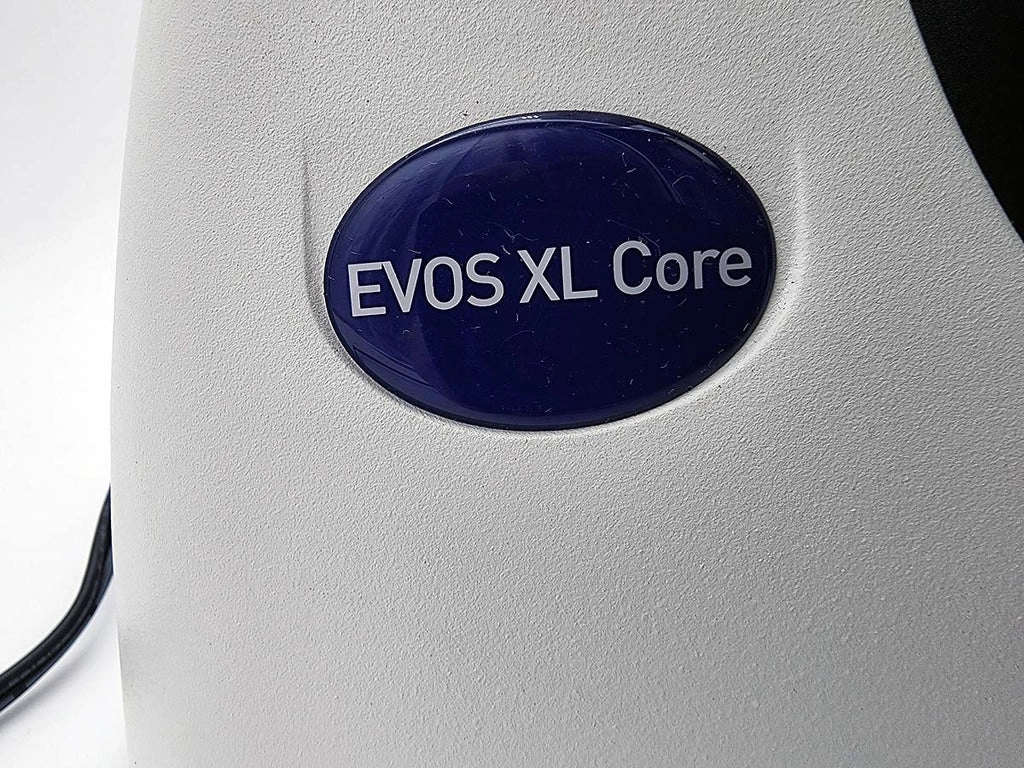 Inverted microscope imaging system | Invitrogen EVOS XL Core Imaging ...