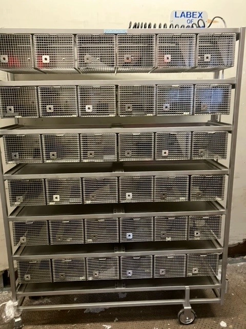 36 Cage Rat Suspended Wire cage Rack | LabX.com