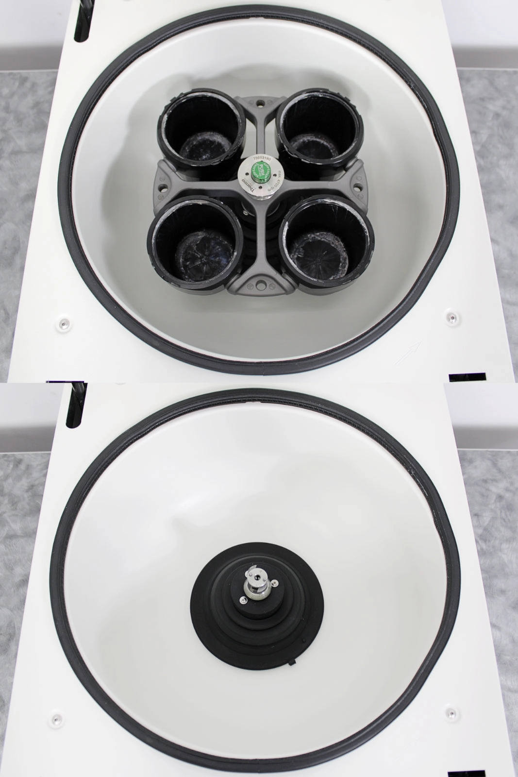Thermo Heraeus Megafuge 40 Benchtop Centrifuge 75004504 w TX-750 Rotor ...