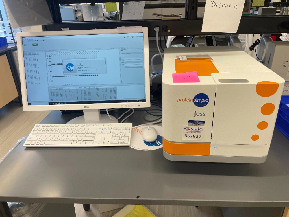 Protein Simple Jess Automated Western Blot System | LabX.com