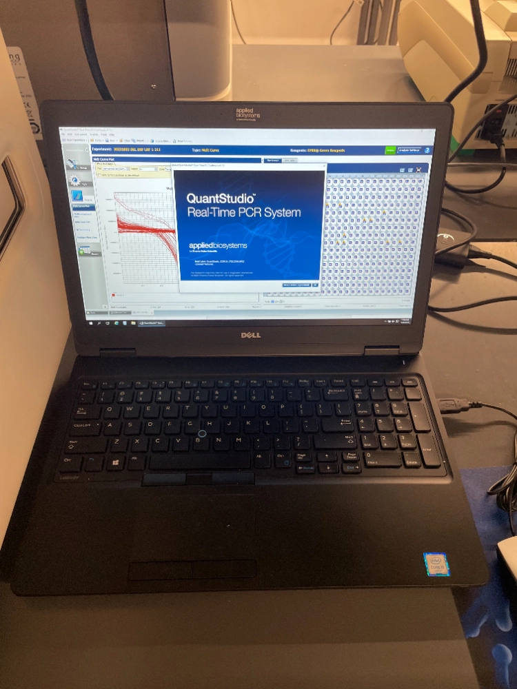 Applied Biosystems QuantStudio 6 Flex Real-Time PCR System | LabX.com