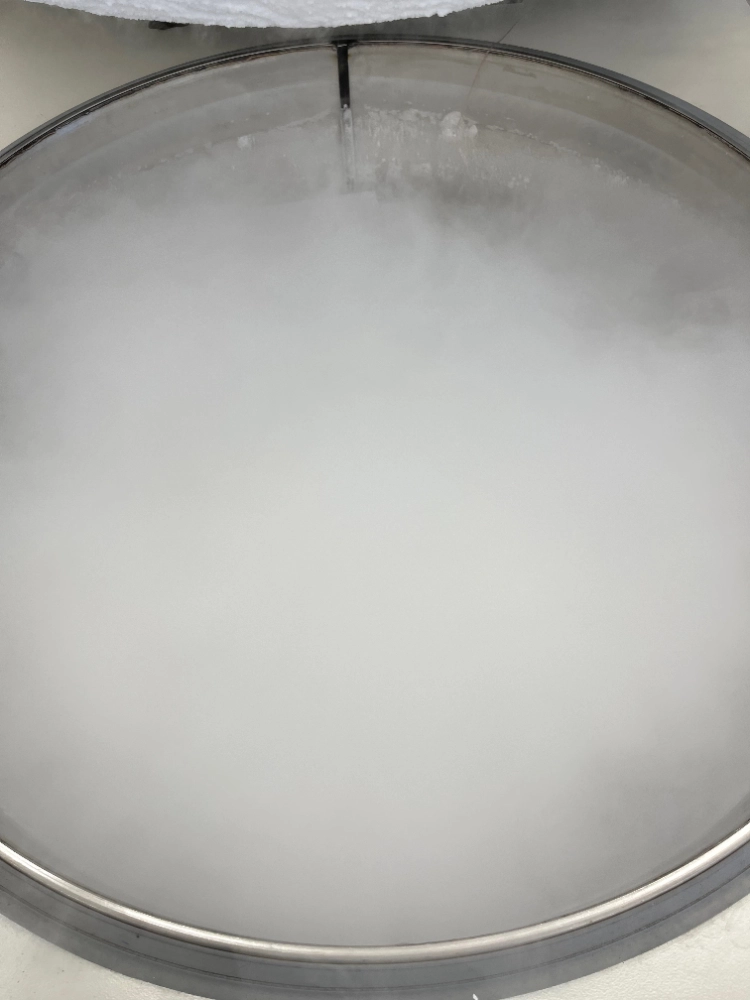 Thermo CryoPlus 3 Cryogenic Storage System | LabX.com