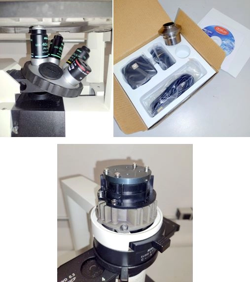 Nikon Eclipse TS100 Inverted Phase Contrast Microscope - Trino w ...
