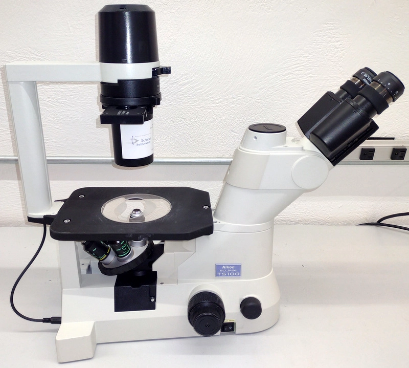 Nikon Eclipse TS100 Inverted Phase Contrast Microscope - Trino w ...