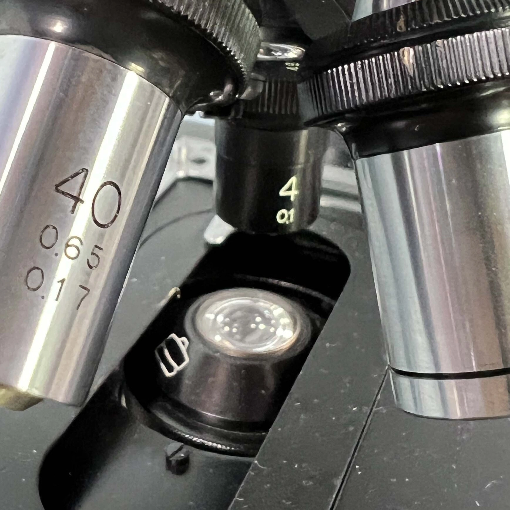 Nikon Oil Immersion Binocular Microscope | LabX.com