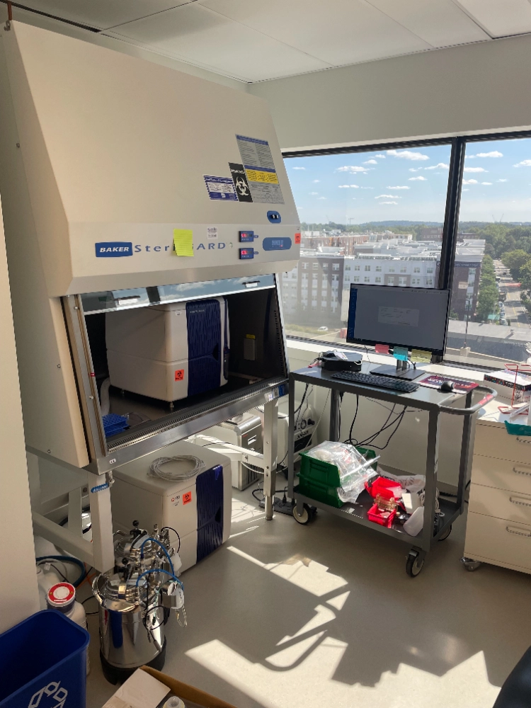 BD FACSMelody 4-Way Cell Sorter | LabX.com