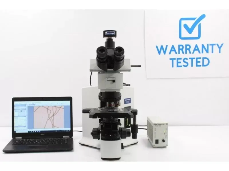 Olympus BX51 Brightfield/Darkfield Microscope Pred BX53 | LabX.com