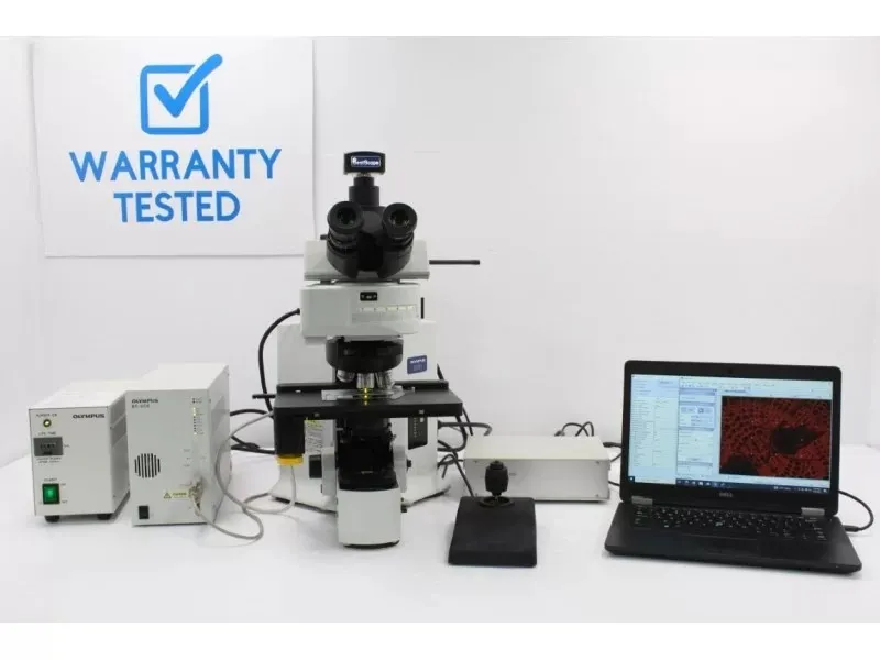 Olympus BX61 Fluorescence Microscope with Motorized XY Stage (New ...