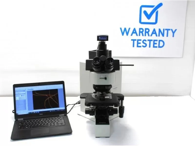 Olympus BX60 Brightfield/Darkfield Microscope Pred BX53 GL | LabX.com