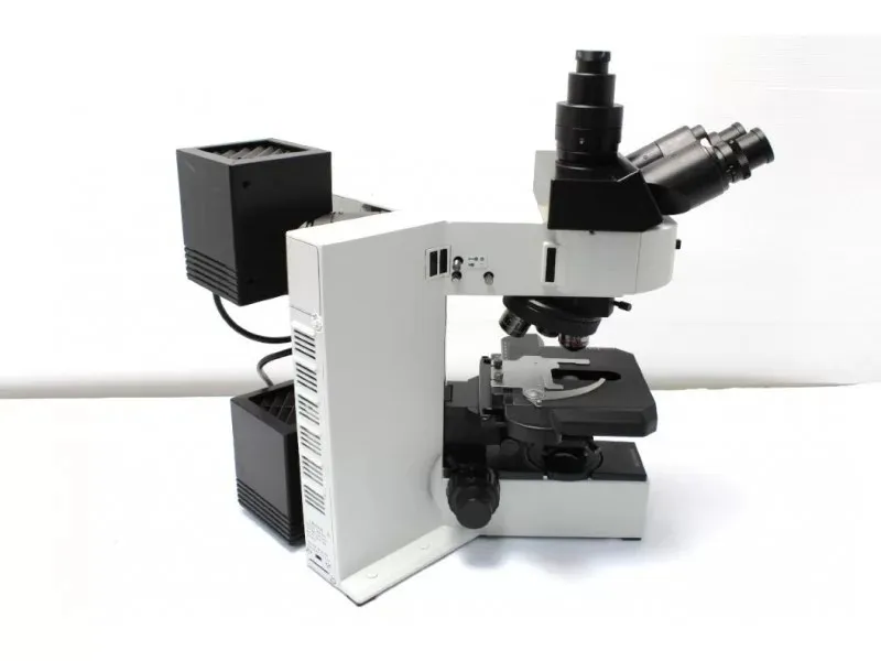 Olympus BX60 Brightfield/Darkfield Microscope Pred BX53 GL | LabX.com
