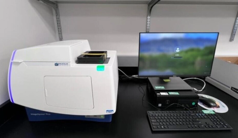 Molecular Devices ImageXpress Pico Automated Cell Imaging System | LabX.com