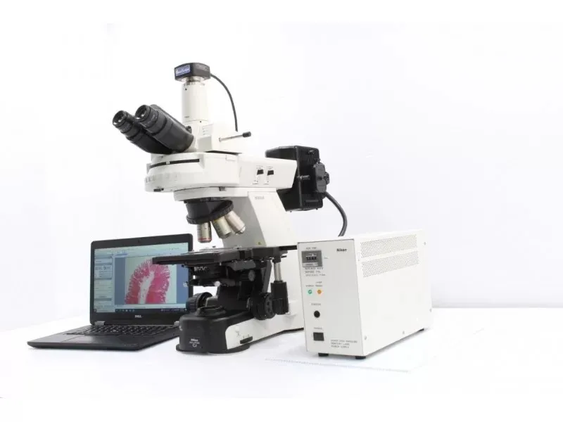 Nikon Ci-L Upright Fluorescence Microscope (New Filters) | LabX.com