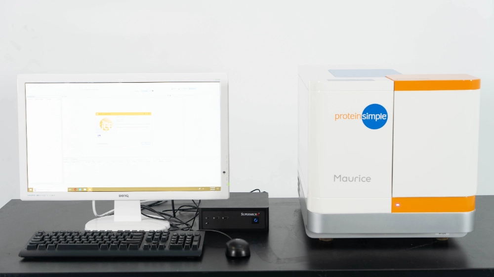 ProteinSimple Maurice Capillary Electrophoresis System | LabX.com