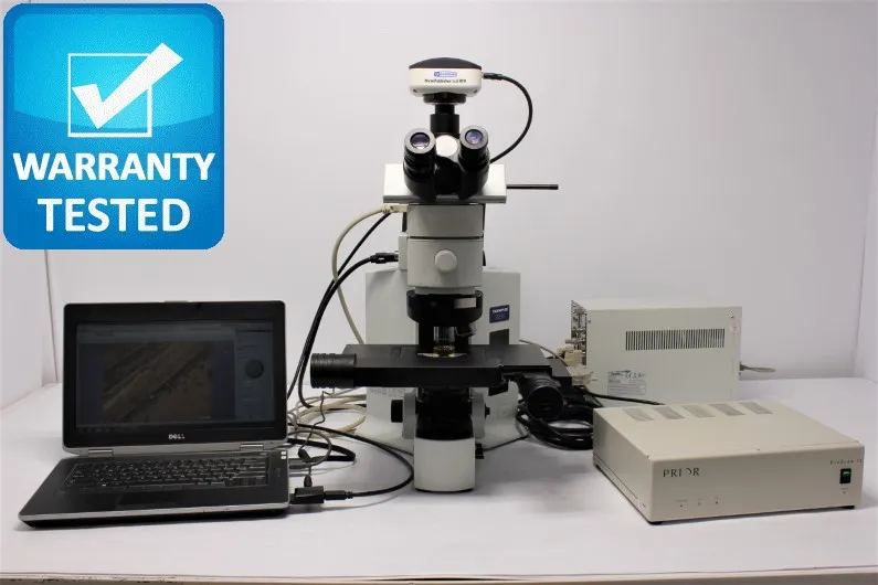 Olympus BX61 Motorized Brightfield Darkfield Microscope w/ Laser ...
