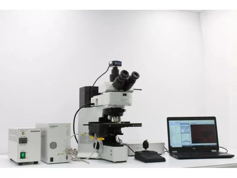 Olympus BX61 Fluorescence Microscope with Motorized XY Stage (New ...