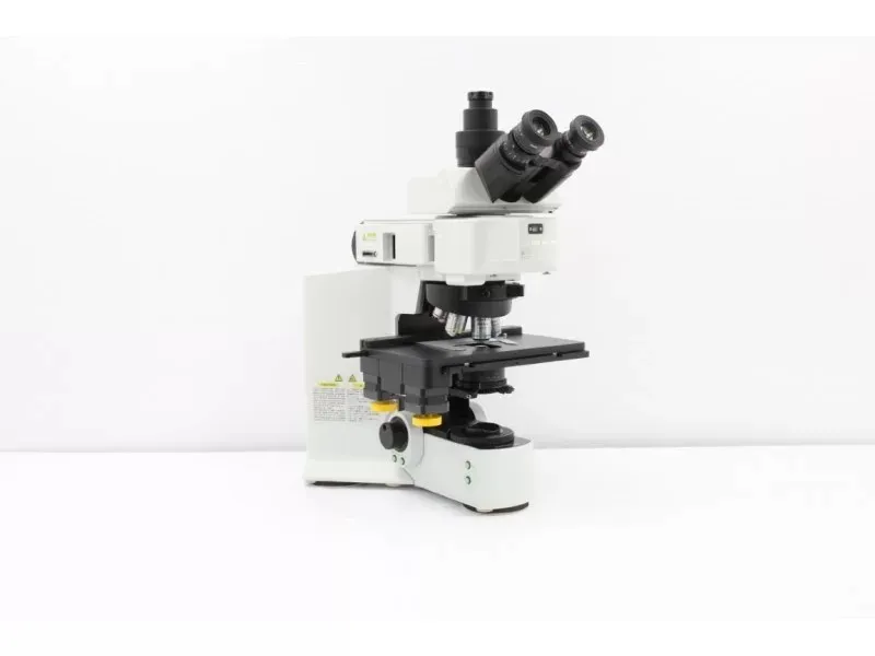 Olympus BX61 Fluorescence Microscope with Motorized XY Stage (New ...