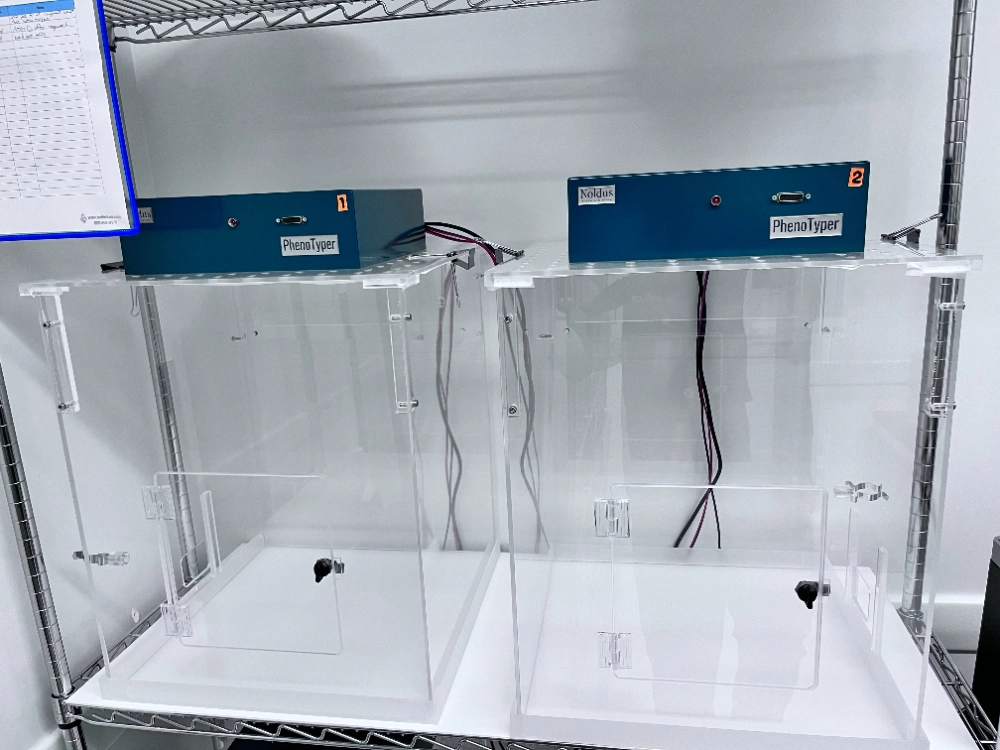 Noldus PhenoTyper Rodent Observation System | LabX.com