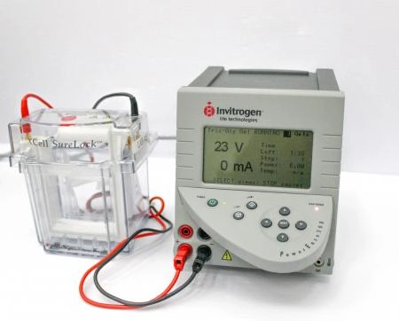 Invitrogen Electrophoresis