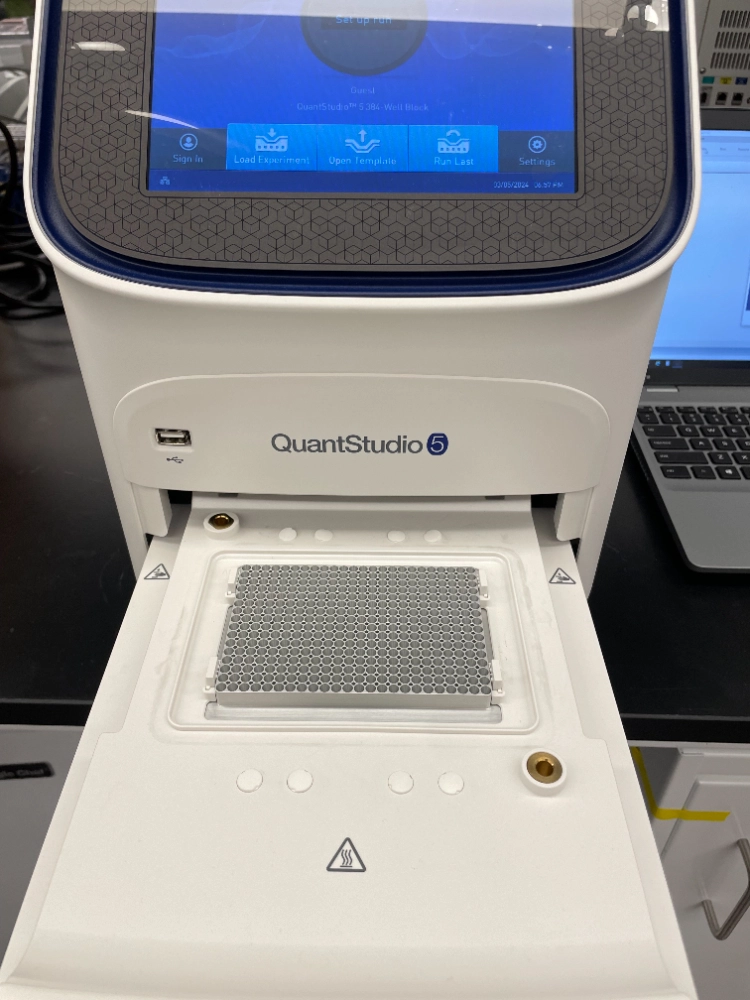 2022 Applied Biosystems QuantStudio5 Real-Time PCR System | LabX.com