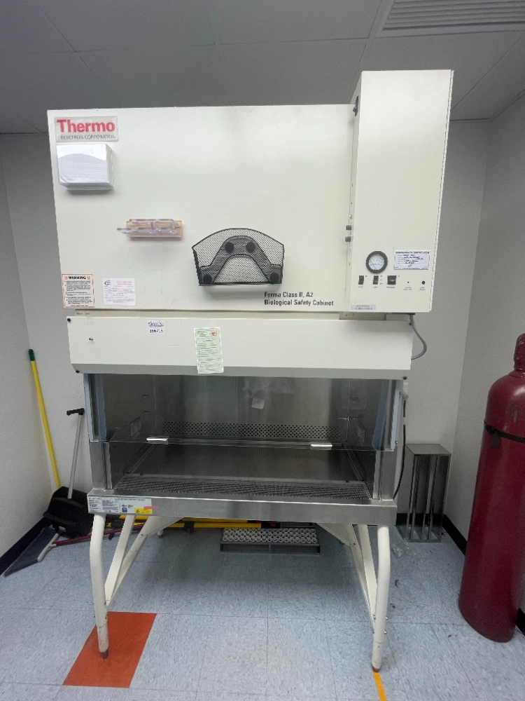 Buy Thermo Forma 1284, New & Used Prices