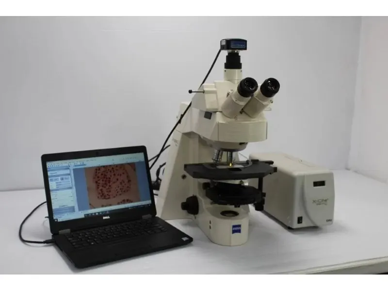 Zeiss Axioplan 2 Upright Metal Halide Fluorescence Microscope (New ...