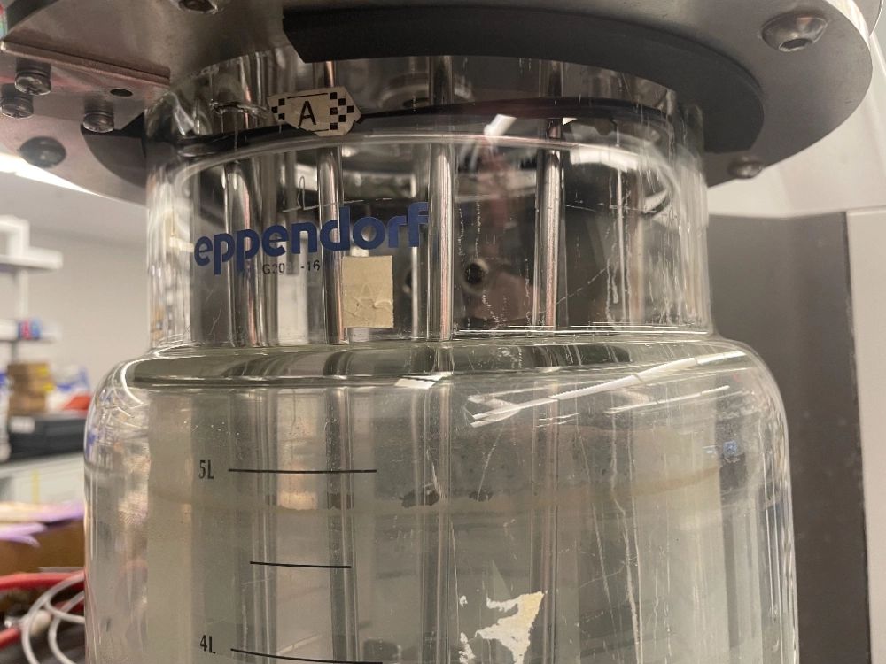 Eppendorf BioFlo iCellGen 115 Fermentor/Bioreactor | LabX.com