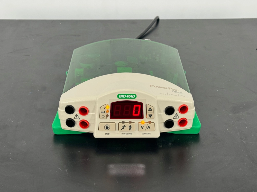 Bio Rad Electrophoresis