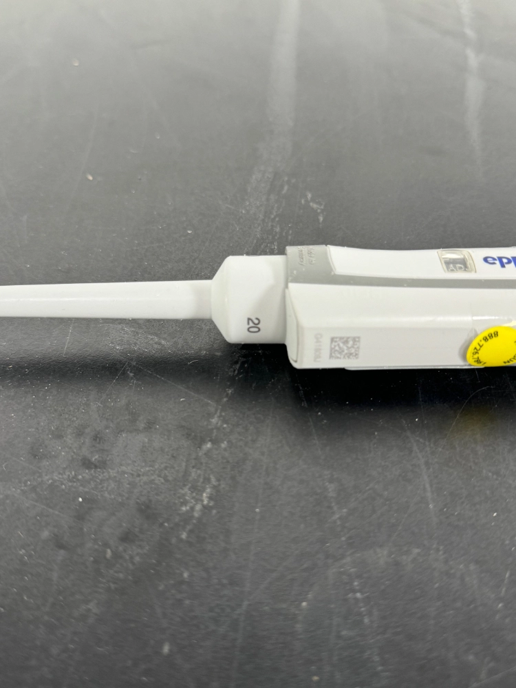 Eppendorf Research Plus 20ul Single Channel Pipette | LabX.com