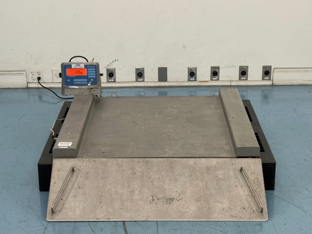 Floor Scale
