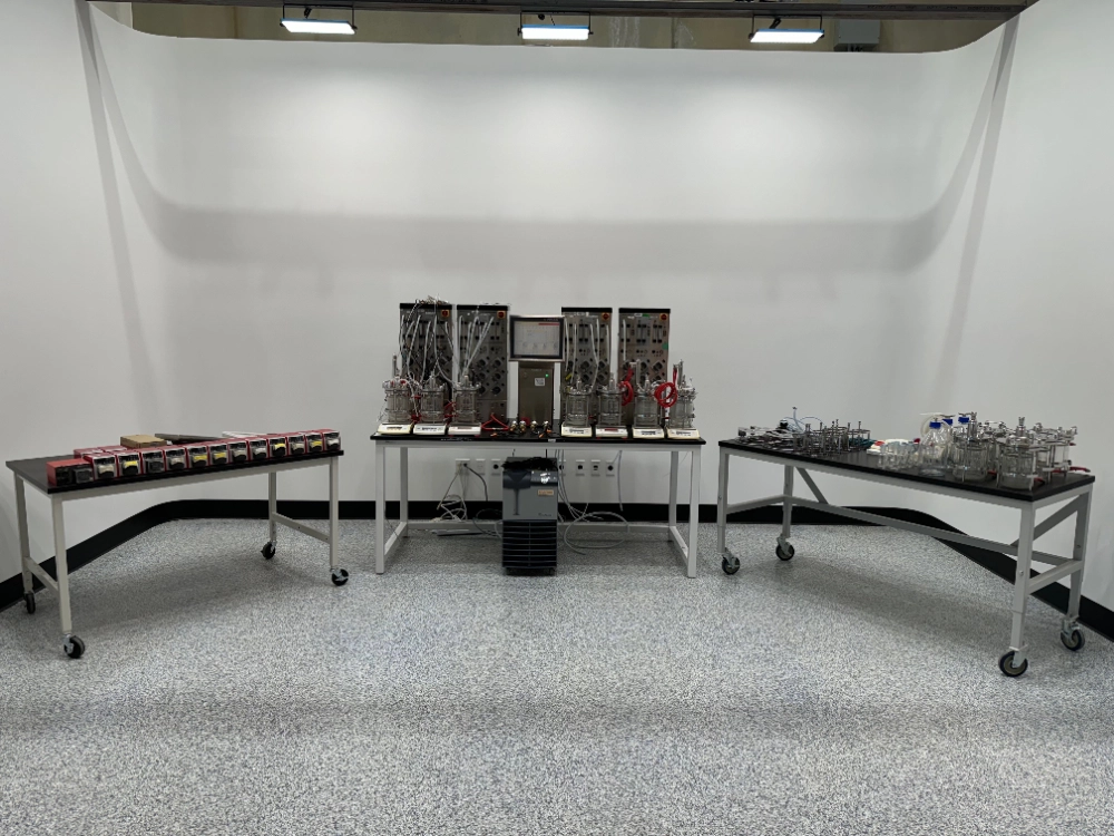 Sartorius Biostat Q plus 12 Vessel Bioreactor | LabX.com