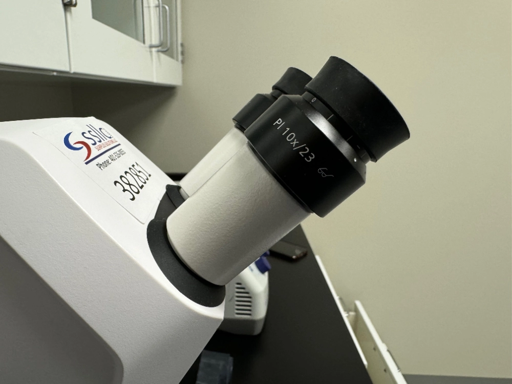 Zeiss Stemi 305 Stereo microscope | LabX.com
