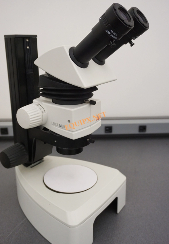 Leica M60 Stereozoom microscope with Ergo-Tilt viewing head (5012) | LabX.com