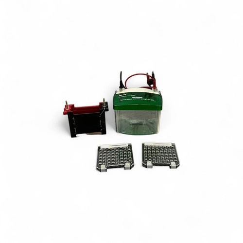 Bio-Rad Mini PROTEAN Tetra Cell 552BR Electrophore | LabX.com