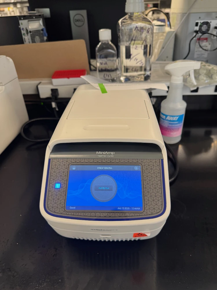 Applied Biosystems MiniAmp Thermal Cycler | LabX.com