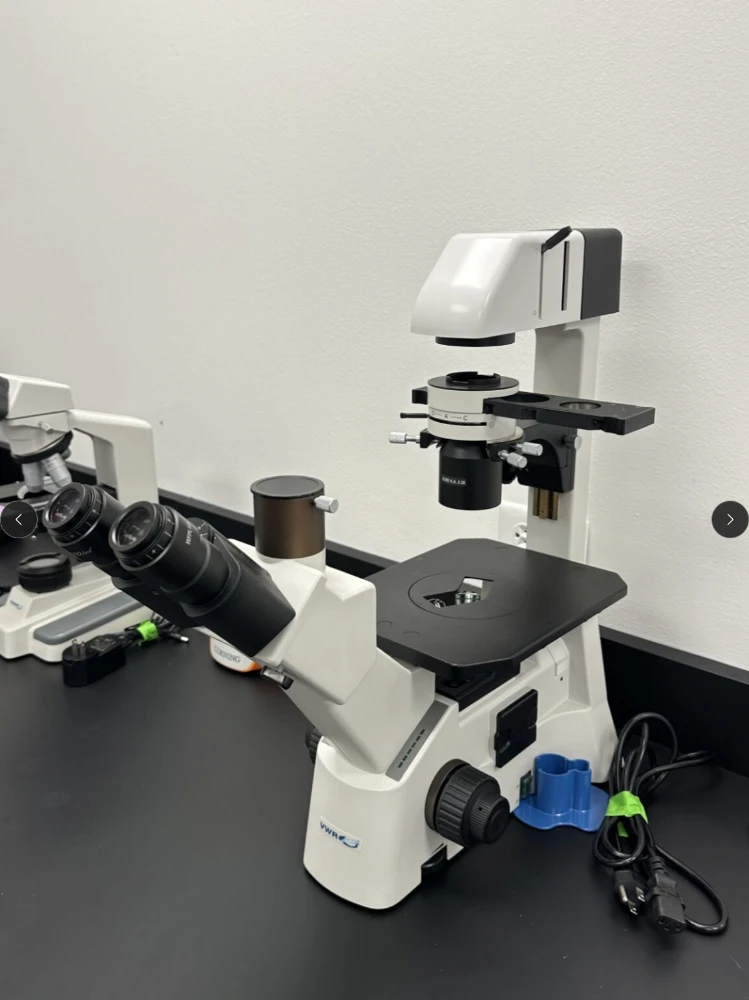 VWR VistaVision Upright Compound Microscope with Halogen Illumination ...
