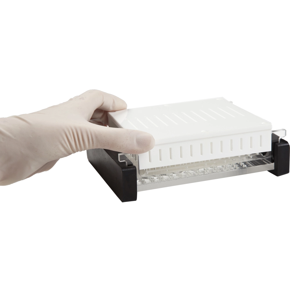 Labnet ENDURO 96 Horizontal Gel Electrophoresis Tray Model # E1010-9611.5 | LabX.com