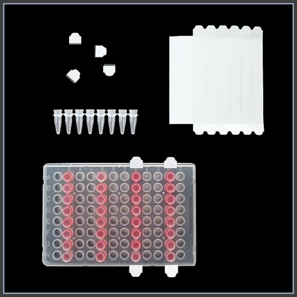 Biologix EZca PCR Film Strips Cs/400 61-0303 | LabX.com
