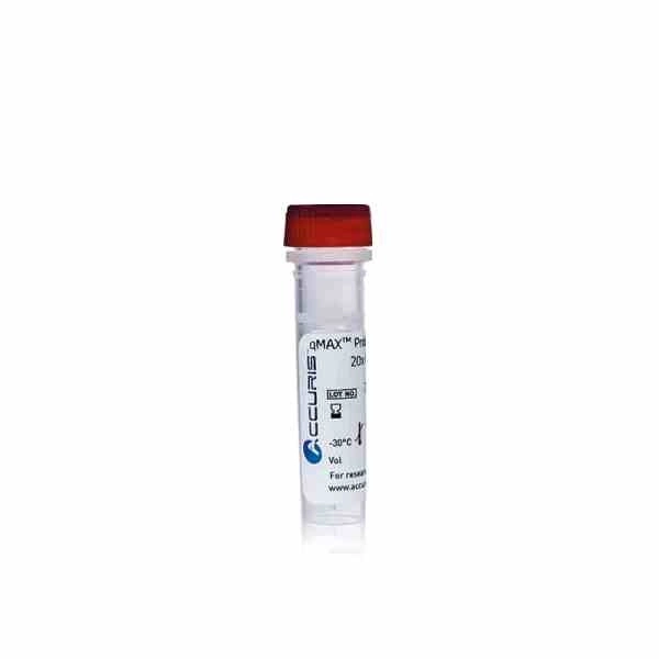 Accuris Qmax Probe, High Rox Qpcr Mix, Sample, 20 Reactions PR2001-H-S ...