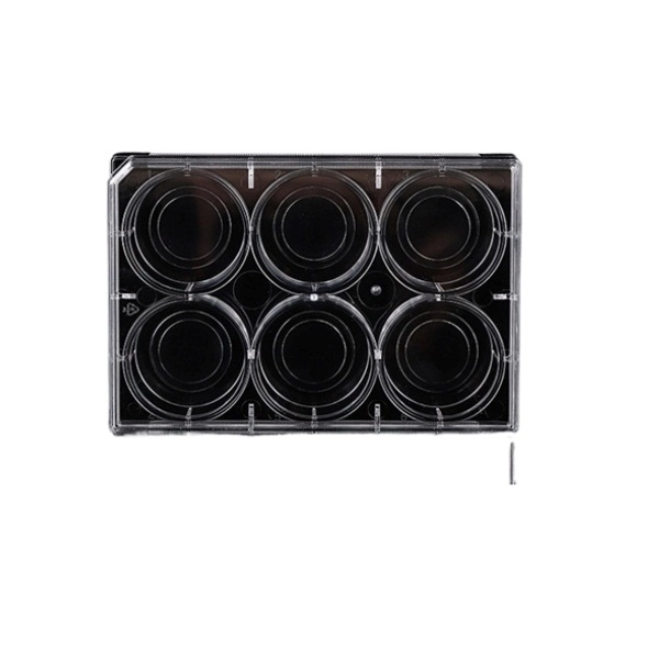 Nest 24 Well Glass Bottom Cell Culture Plate, Φ 10mm, Tc, Sterile 1/Pk ...