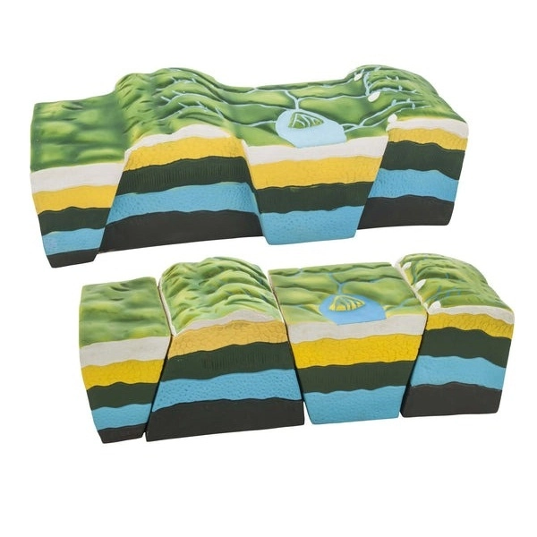 Eisco Fold & Fault Model - Geology Tectonics Study Model - Eisco Labs ...