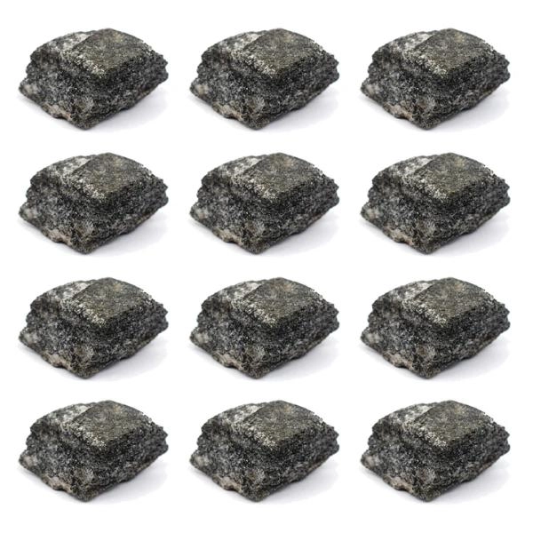 Eisco 12PK Biotite Gneiss Rock Specimen, 1" - Geologist Selected ...