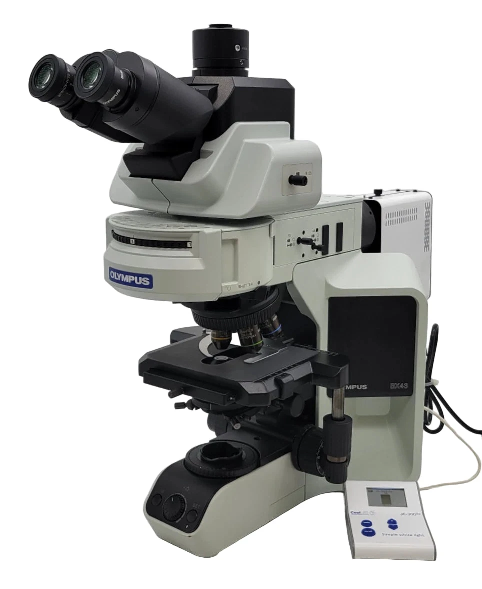 Olympus Microscope BX43 with Fluorescence and CoolLed pE-300 ...