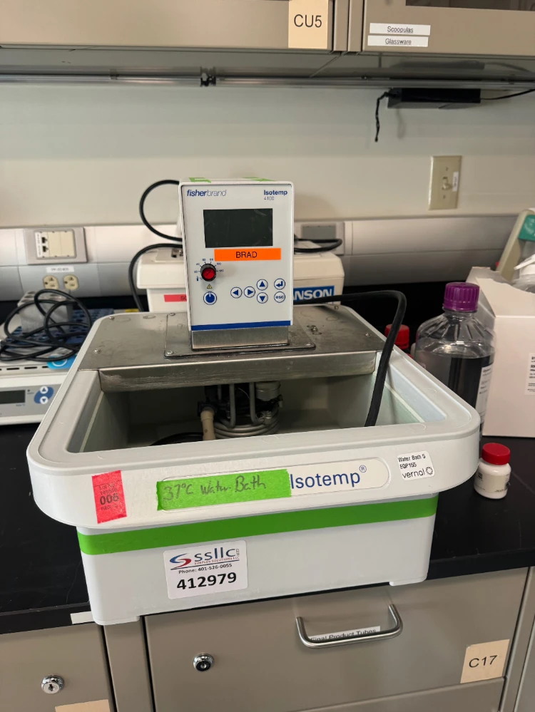 Fisherbrand Isotemp 4100 Water Bath | LabX.com